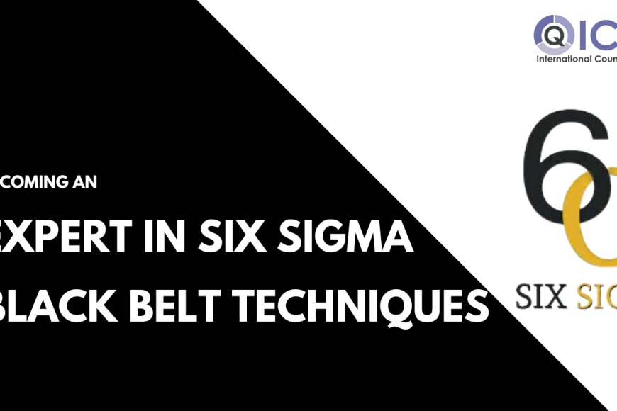 Becoming an Expert in Six Sigma Black Belt Techniques - ICFQ