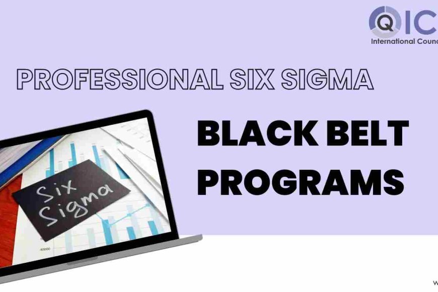 Professional Six Sigma Black Belt Programs - ICFQ