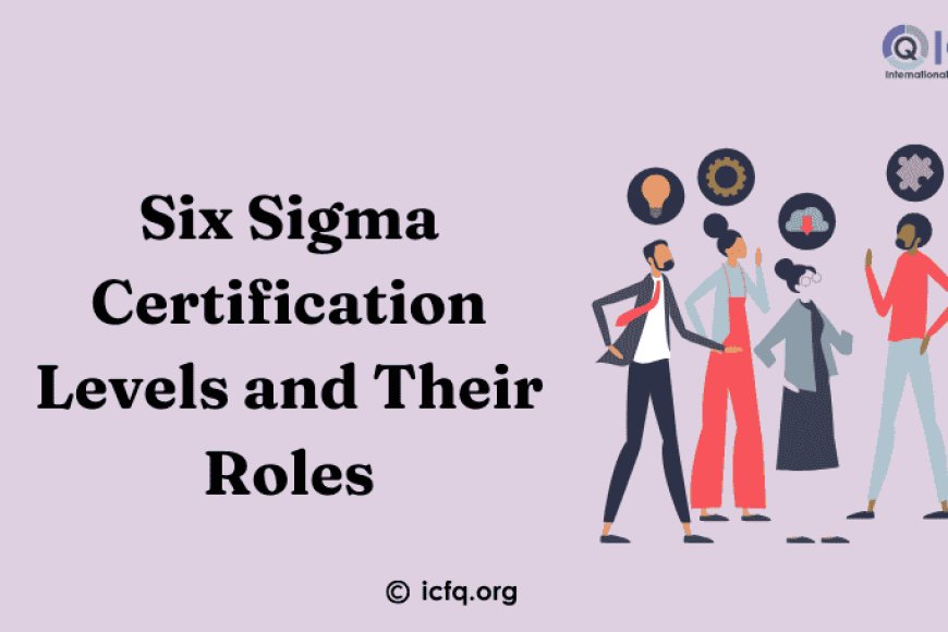 Six Sigma Certification Levels and Their Roles - ICFQ